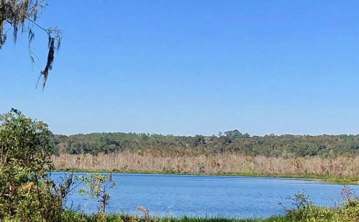 31495 BLANTON RD Dade City FL 33523 APN: 10-24-20-0000-29900-0000 ...