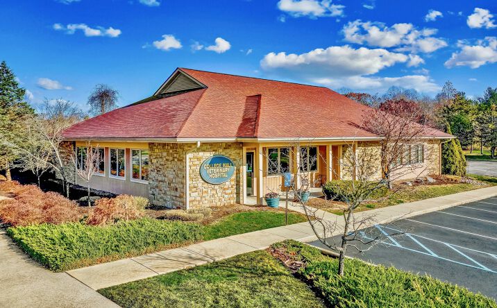 Jennifer Stein - JDS Real Estate Services, Inc. | Crexi