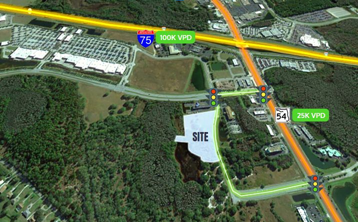 Dayflower Blvd, Wesley Chapel, FL 33544 - Land for Sale - 4.71 Acres ...