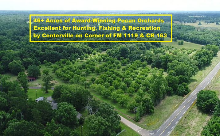 Centerville, TX | Crexi.com