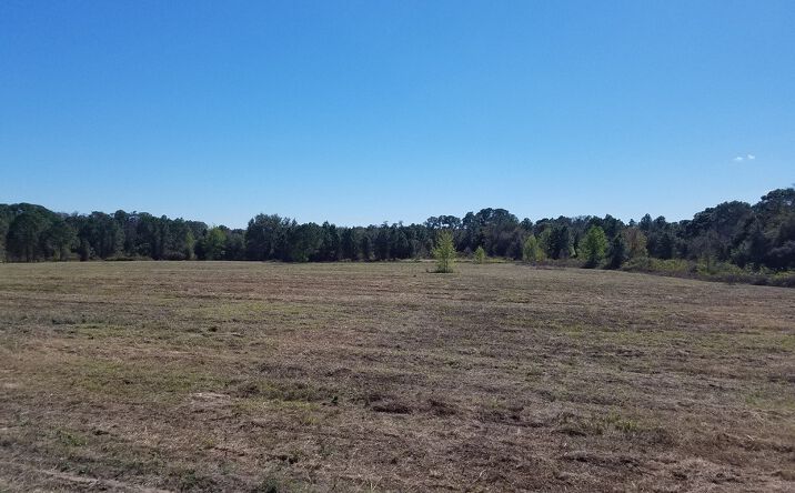 8702 FLORIDA BOYS RANCH RD Clermont FL 34711-9149 APN ...