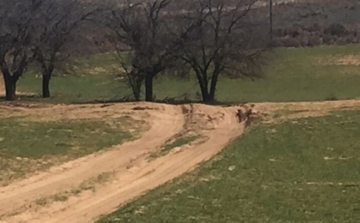 Moore Ranch Wheeler County, Shamrock, TX 79079 | Crexi.com