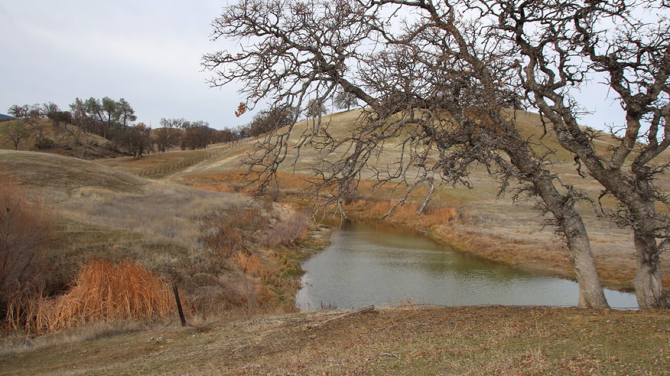 3279 County Road 306, Elk Creek, CA 95939 | Crexi.com