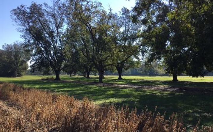 Hwy 41 & Dunbar Road, Centerville, GA 31028 | Crexi.com