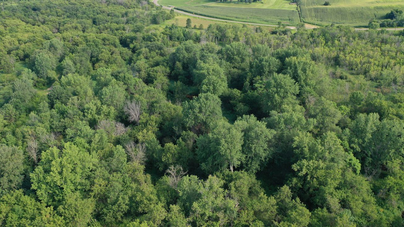 County Rd K/110th St, Downing, WI 54734 | Crexi.com