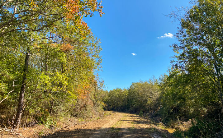 20 ac Gates Road Tract 33, Devers, TX 77533 | Crexi.com
