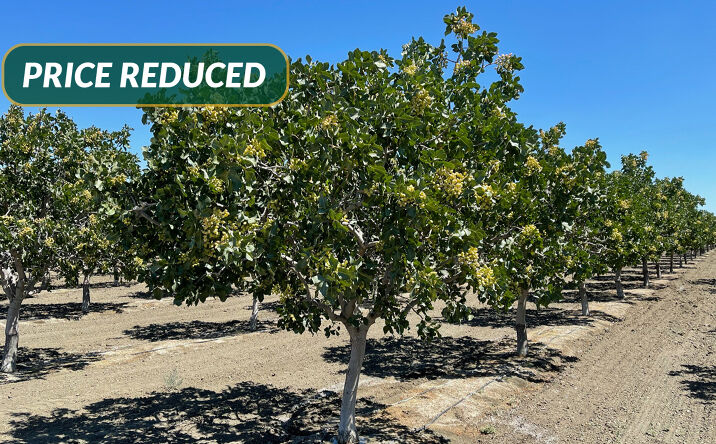 NWC of Lassen and Davis Avenues, Helm, CA 93656 | Crexi.com