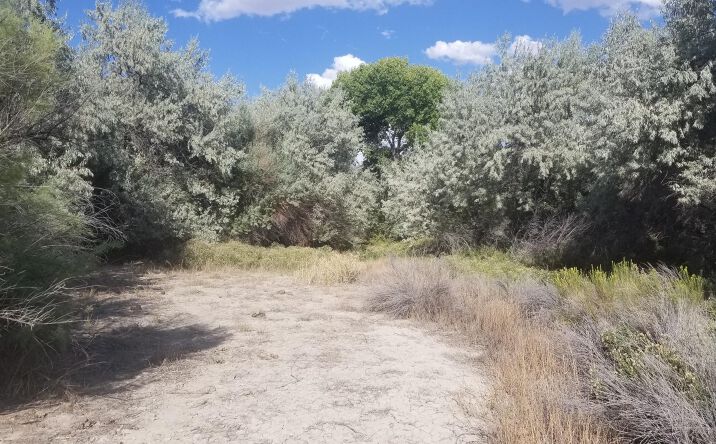 525 Rose Way, Lovelock, NV 89419 | Crexi.com