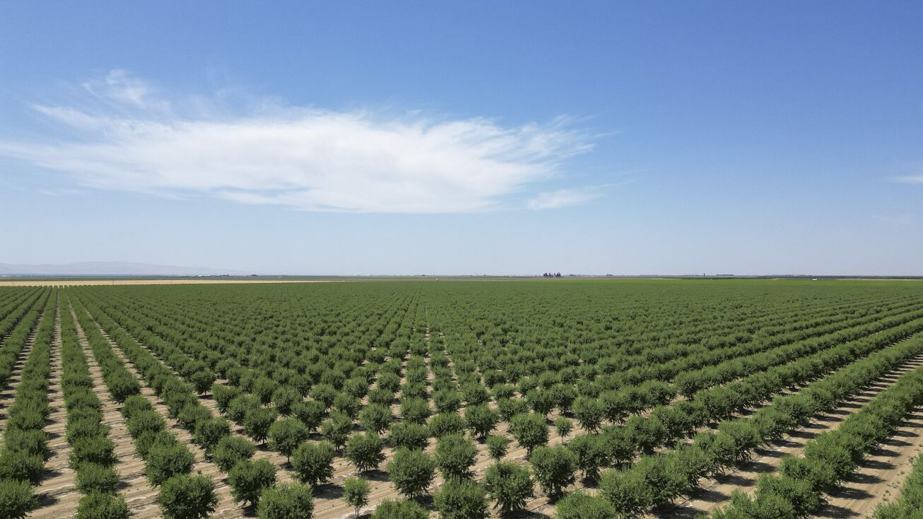 Lassen Avenue and West Oakland Avenue, Five Points, CA 93624 | Crexi.com