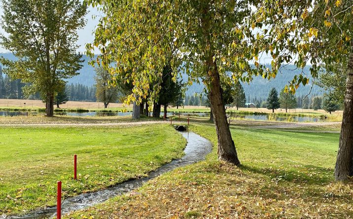 1268 Golf View Drive, Seeley Lake, MT 59868 | Crexi.com