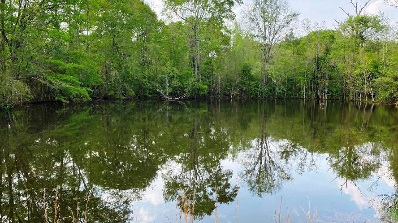 4170 Hwy 13, Oak Vale, MS 39656 | Crexi.com