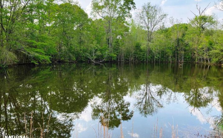4170 Hwy 13, Oak Vale, MS 39656 | Crexi.com