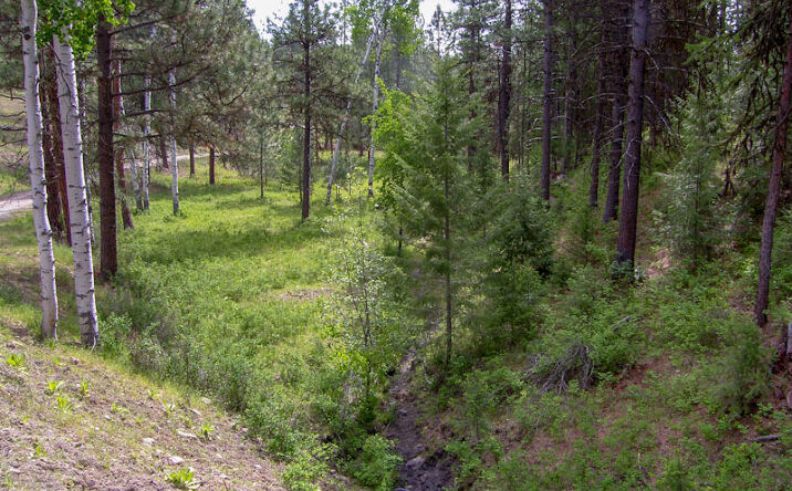 3185 Hubbart Dam Rd, Marion, MT 59925 | Crexi.com