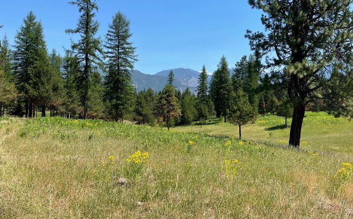 Nhn Evergreen Acres, Trout Creek, MT 59874 | Crexi.com