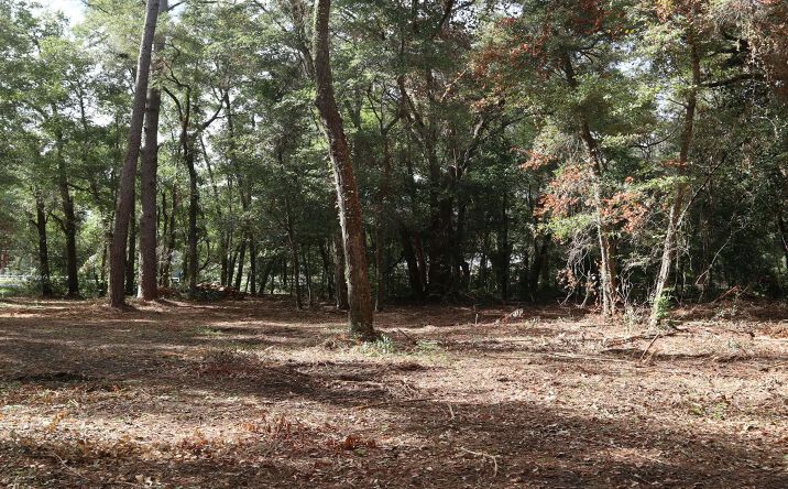 00 Maylor Road, Tallahassee, FL 32308 | Crexi.com