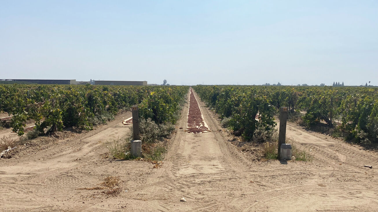 W. of the SWC of W. Shaw & Howard Aves., Kerman, CA 93630 | Crexi.com