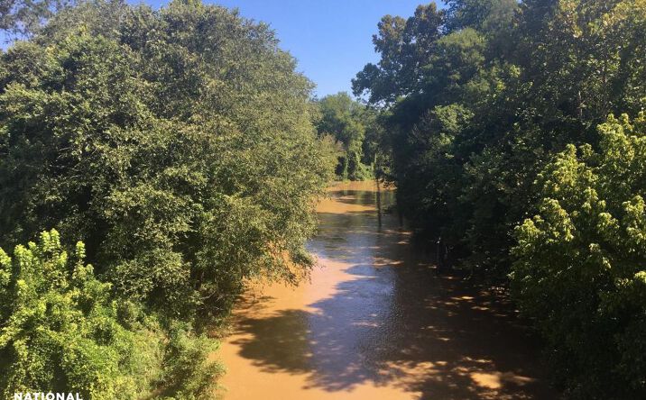 000 Murray Stingley Rd, Mendenhall, MS 39114 - Land for Sale - Strong ...