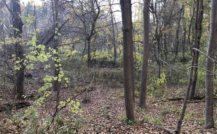 98 Pollock Rd, Latham, NY 12110 | Crexi.com