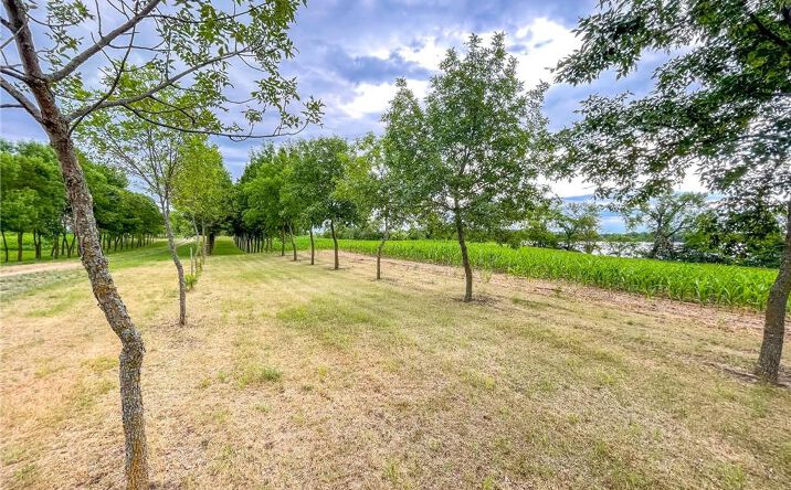 1 75th Street NW, Pennock, MN 56279 - Land for Sale - 1 75th Street NW