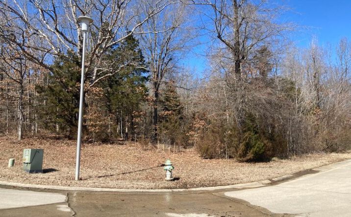 0 Brownwood CT Lot 5, Poplar Bluff, MO 63901 | Crexi.com