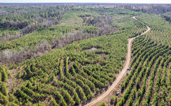 Nathan Rd, Nashville, AR 71852 | Crexi.com