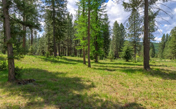 Lot 3A River Run Loop, Saint Regis, MT 59866 | Crexi.com