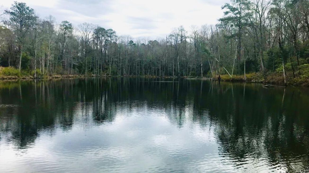 0 Highway 137, Cusseta, GA 31805 | Crexi.com