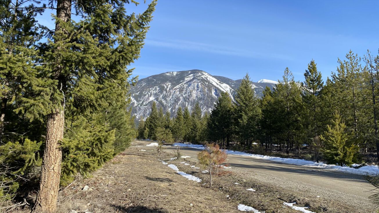 Lot 3 Overview Drive, Troy, MT 59935 | Crexi.com