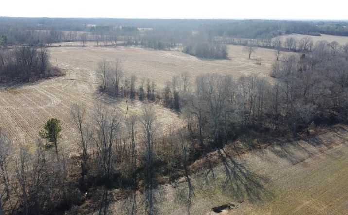 Louis Holbrook - National Land Realty Little Rock | Crexi