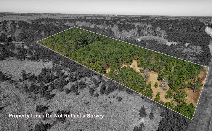 Christian Swann - Keller Williams Rlty Atl. Part | Crexi