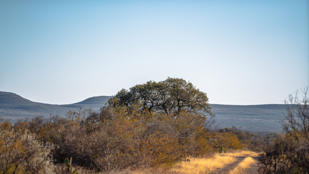 Rocking B Ranch, Spofford, TX 78832 | Crexi.com