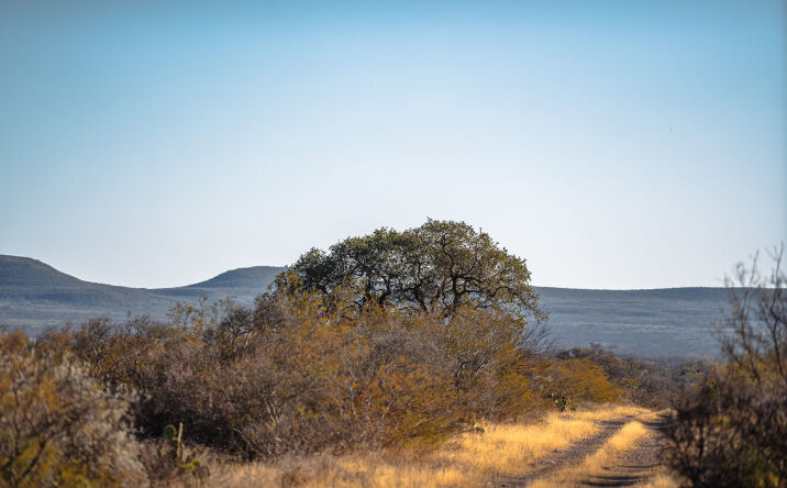 Rocking B Ranch, Spofford, TX 78832 | Crexi.com