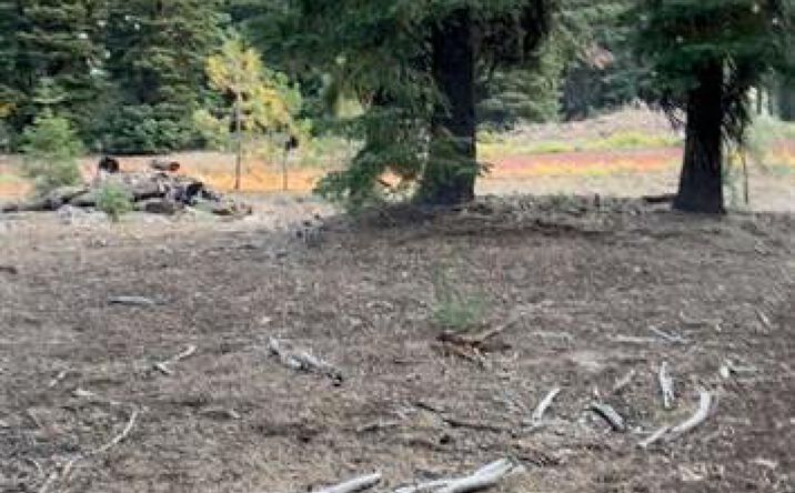 Novy Ranch, Madeline, CA 96119 | Crexi.com