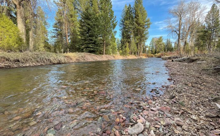 Tbd Mt Highway 83 N, Seeley Lake, MT 59868 - Land for Sale - Tbd Mt ...