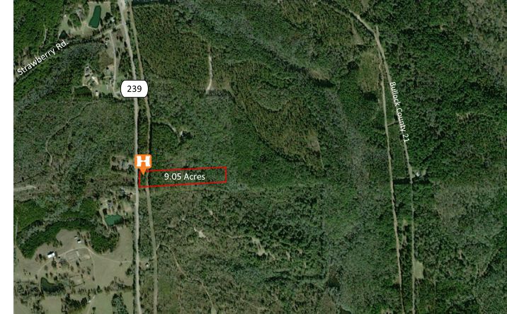 4516 HIGHWAY 239 Banks AL 36005-3920 APN: 18041700000150000 | Crexi.com