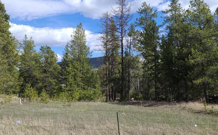 121 Idaho Hill Road, Marion, MT 59925 - Land for Sale - 121 Idaho Hill Road