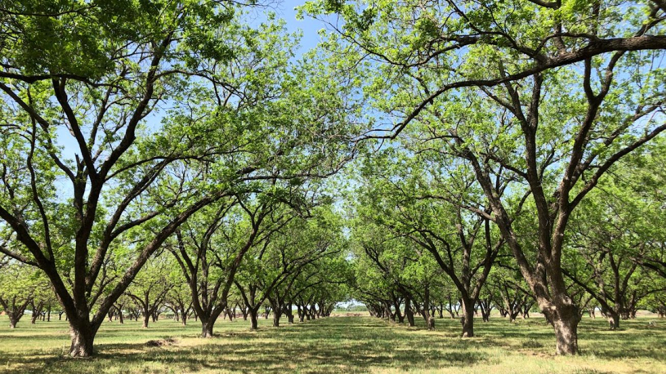 12633 Gholson Rd, Gholson, TX 76705 | Crexi.com