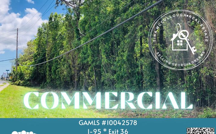 2688 Hwy 17 & 0 Fancy Bluff Road, Brunswick, GA 31523 - Land for Sale ...