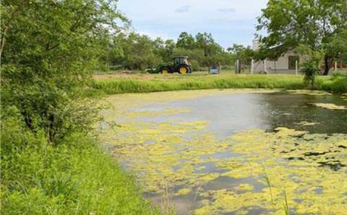 FM1017, Delmita, TX 78536 | Crexi.com