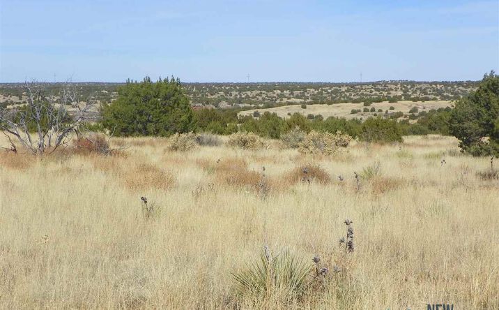 2436 HISTORIC ROUTE 66 Santa Rosa NM 88435-2852 APN: 1127048062252 ...