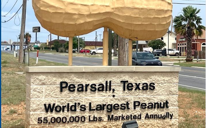 225 I-35, Pearsall, TX 78061 - Land for Sale - 225 I-35, Pearsall, TX 78061