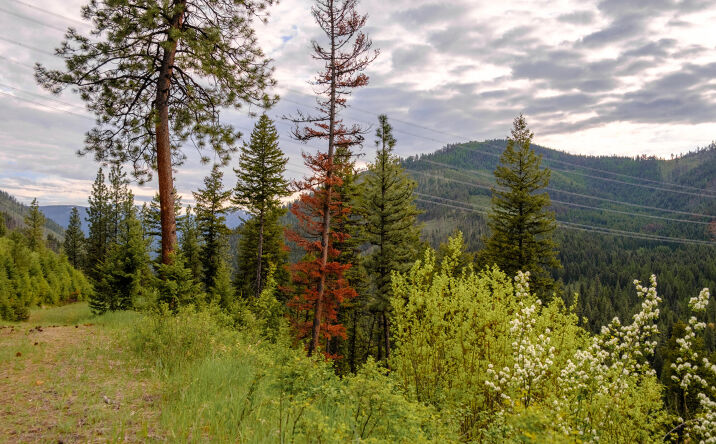 Nhn Keystone Gulch, Superior, MT 59872 | Crexi.com