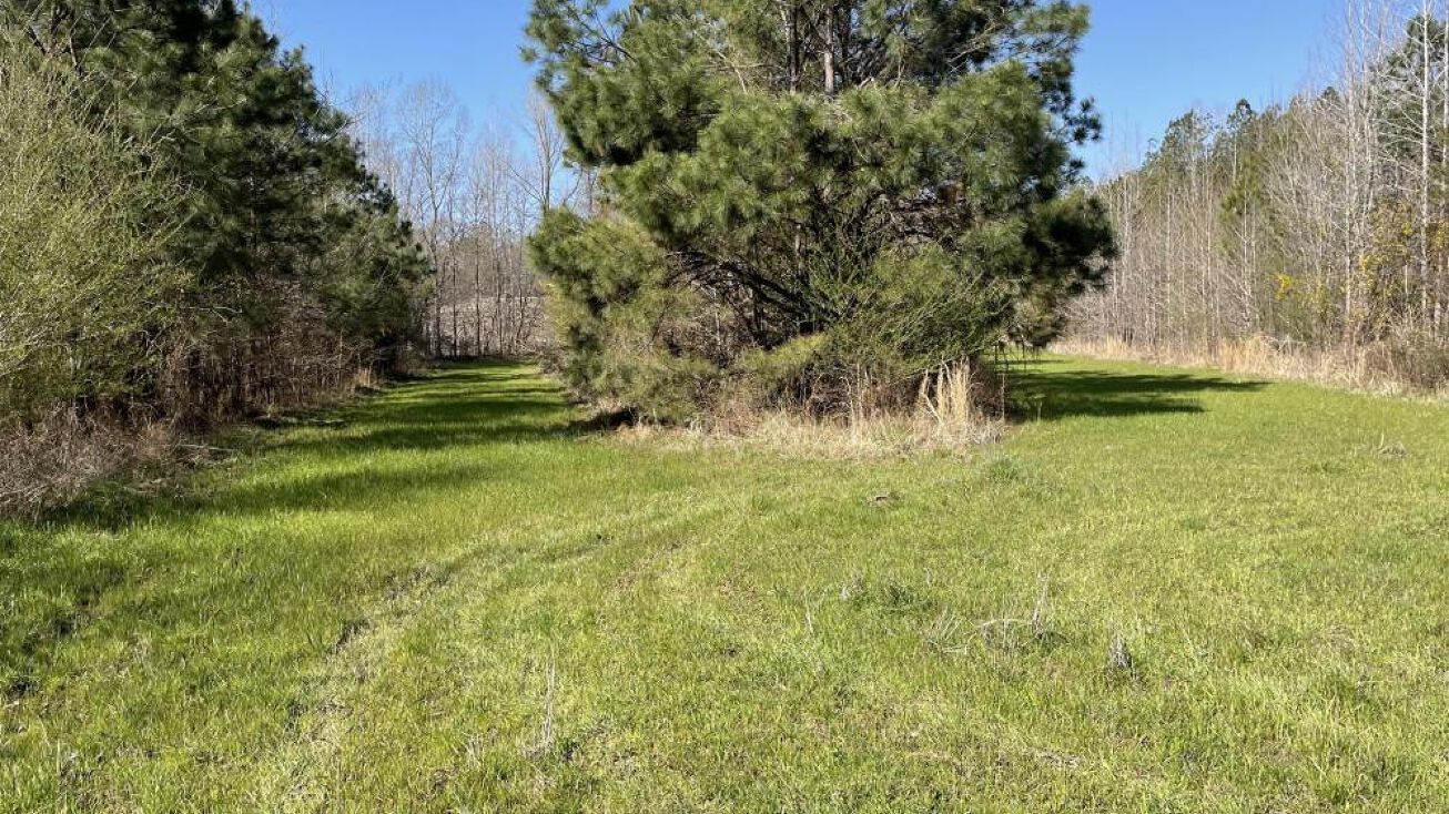 0 Shake Rag Road, Sulligent, AL 35586 | Crexi.com