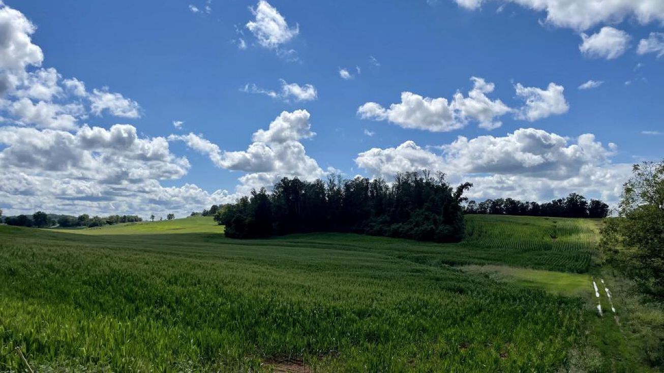 00 Jerry Broyles Rd, Chuckey, TN 37641 | Crexi.com