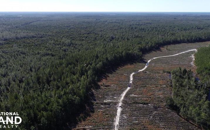 0 Winokur Rock Rd, Folkston, GA 31537 | Crexi.com