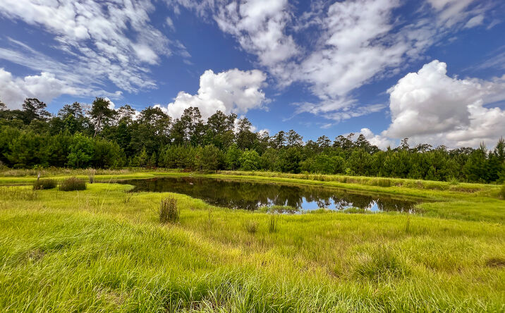 TX-146 Rye TX 77369 | Crexi.com