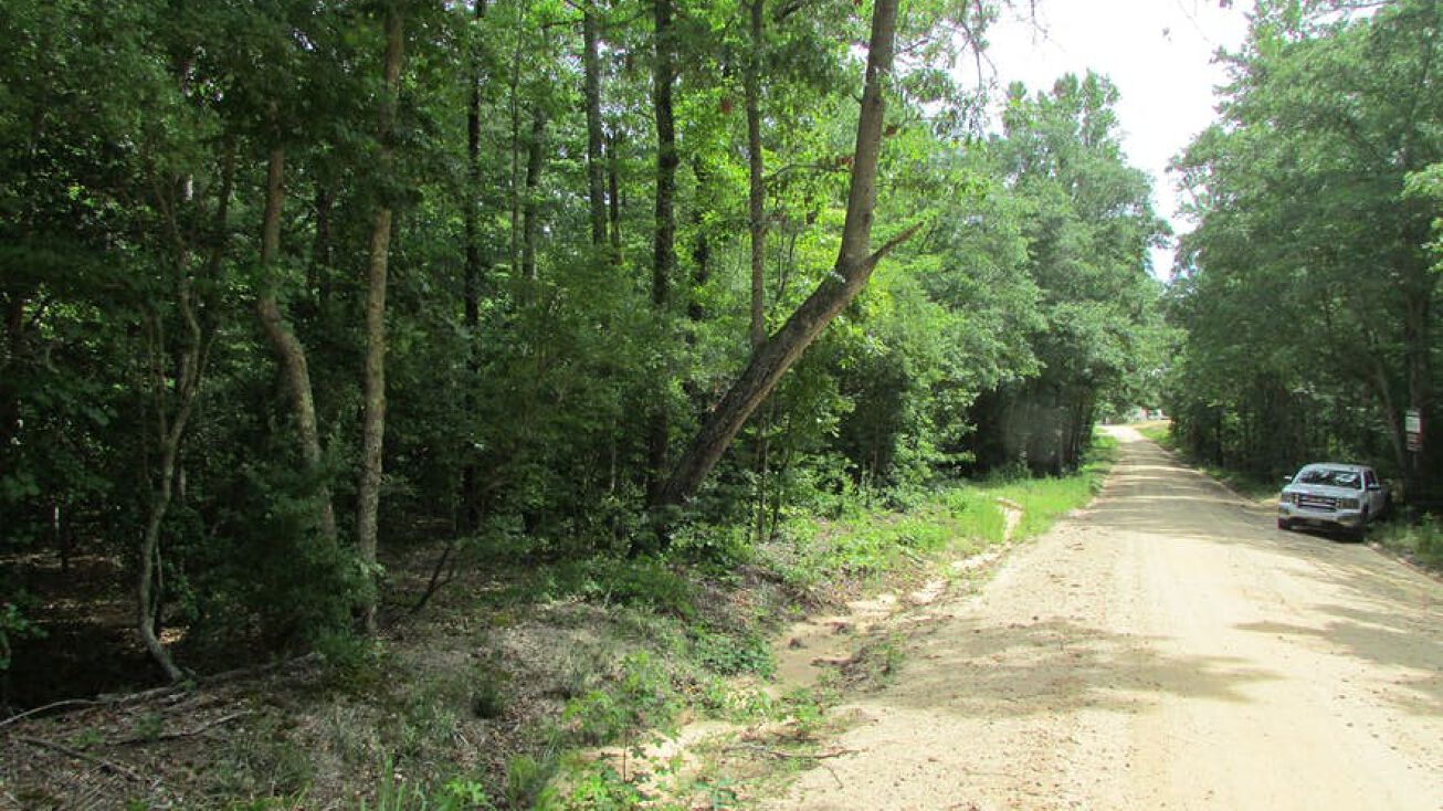 Curtis Lee Mill Road Stands 9 & 10 Combined, Ruby, SC 29741 | Crexi.com