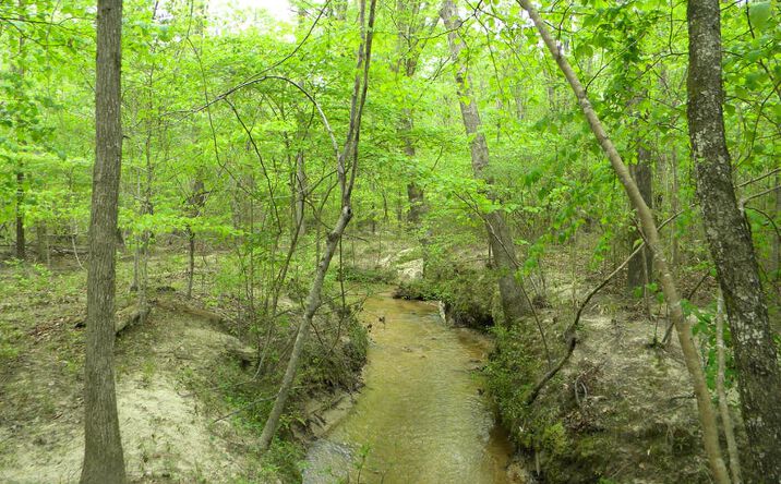 MG0271 (B), Pennington, AL 36916 - Land for Sale - MG0271 (B)