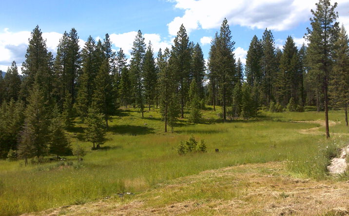 0000 Old Sawmill Road, Huson, MT 59846 | Crexi.com