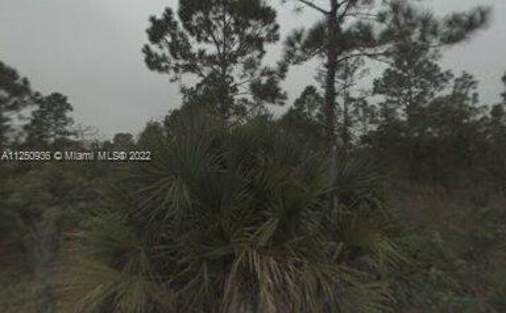 8124 Gewant Blvd, Punta Gorda, FL 33982 - Special Purpose Property for ...